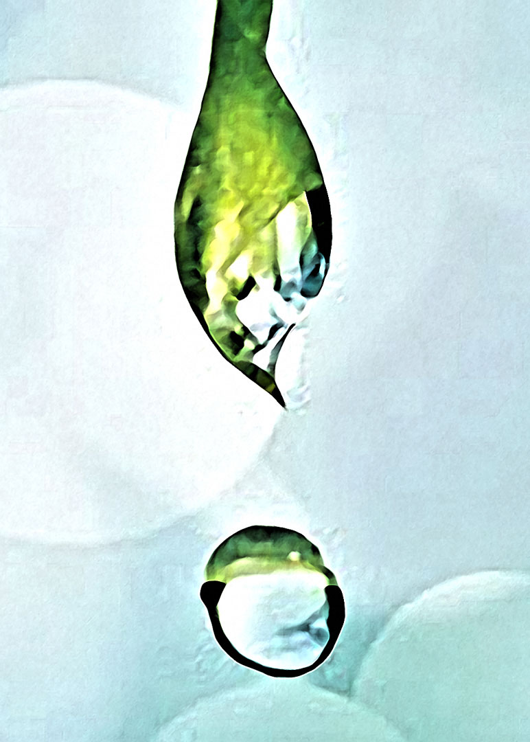 Pure Blue Sustainability - Leaders in Water Saving Solutions UAE | Home